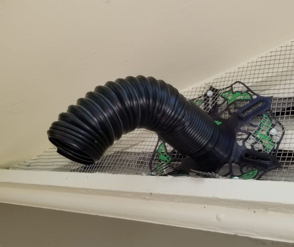 Why Is Humane Bat Removal So Important? | Critter Authority